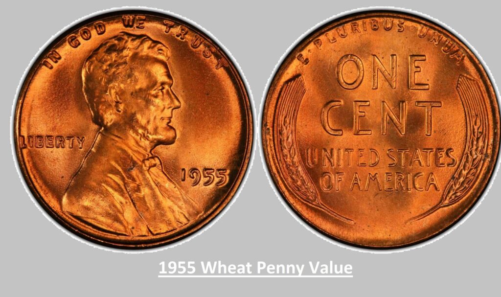 1955 Wheat Penny Value (Rare Errors, “D”, “S” and No Mint Mark) - The ...